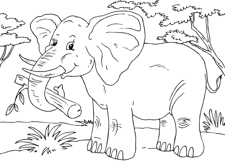 Bilde å fargelegge av elefant – gratis fargeleggingsbilde – bilde 23023