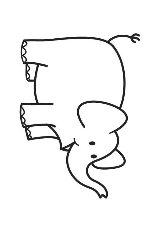 Bilde å fargelegge av elefant – gratis fargeleggingsbilde – bilde 18131