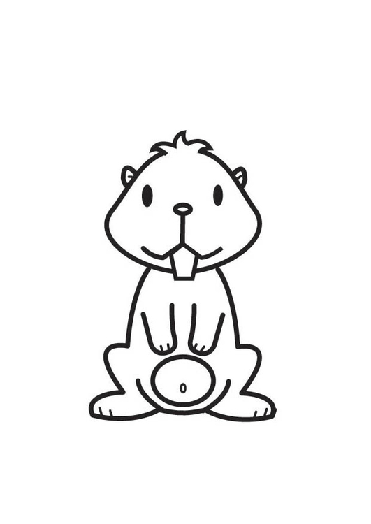 Bilde å fargelegge hamster - Gratis Bildene For Fargelegging - bilde 18080