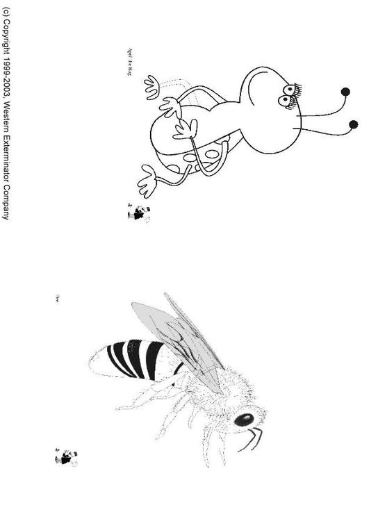 Bilde å fargelegge insekter - Gratis Bildene For Fargelegging - bilde 6134 Bilde å fargelegge insekter - Gratis Bildene For Fargelegging - bilde 6134