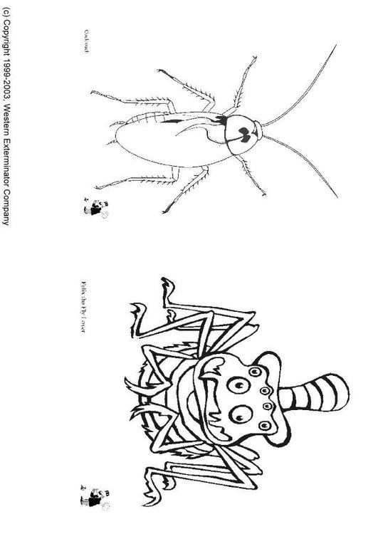 Bilde å fargelegge insekter - Gratis Bildene For Fargelegging - bilde 6136 Bilde å fargelegge insekter - Gratis Bildene For Fargelegging - bilde 6136