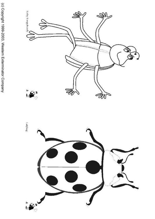 Bilde å fargelegge av insekter – gratis fargeleggingsbilde – bilde 6137 Bilde å fargelegge av insekter – gratis fargeleggingsbilde – bilde 6137