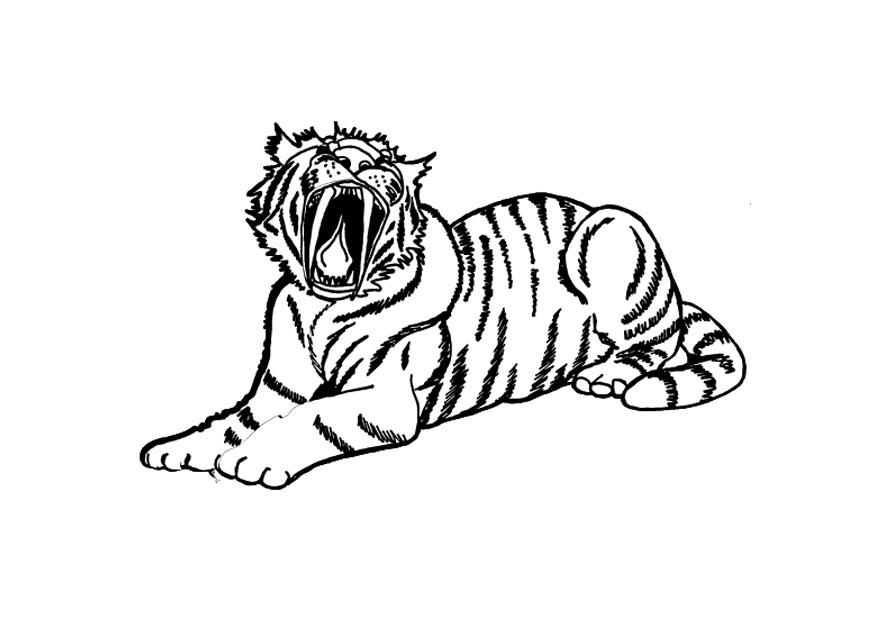 Bilde å fargelegge tiger - Gratis Bildene For Fargelegging - bilde 9695