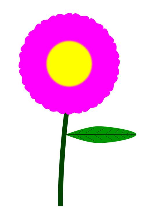 Bilde blomst – Gratis Bilder – bilde 29662