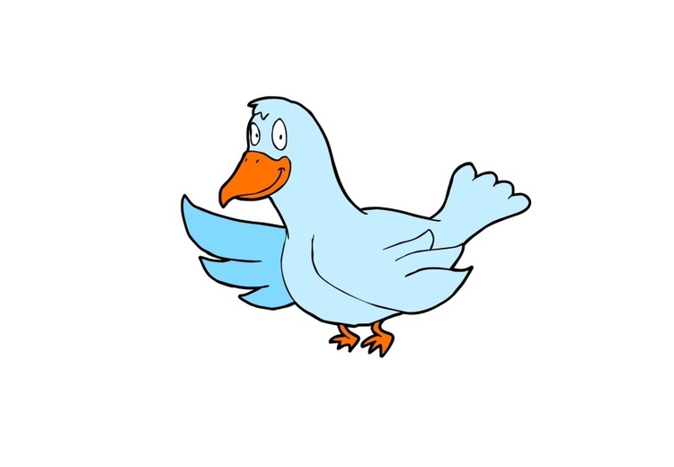 Bilde fugl – Gratis Bilder – bilde 13919